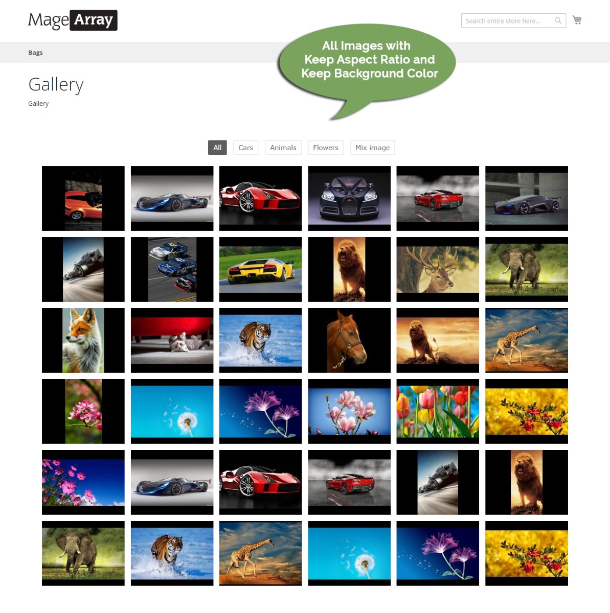 Magento 2 Image Gallery Extension - Photo Gallery Extension for Magento 2