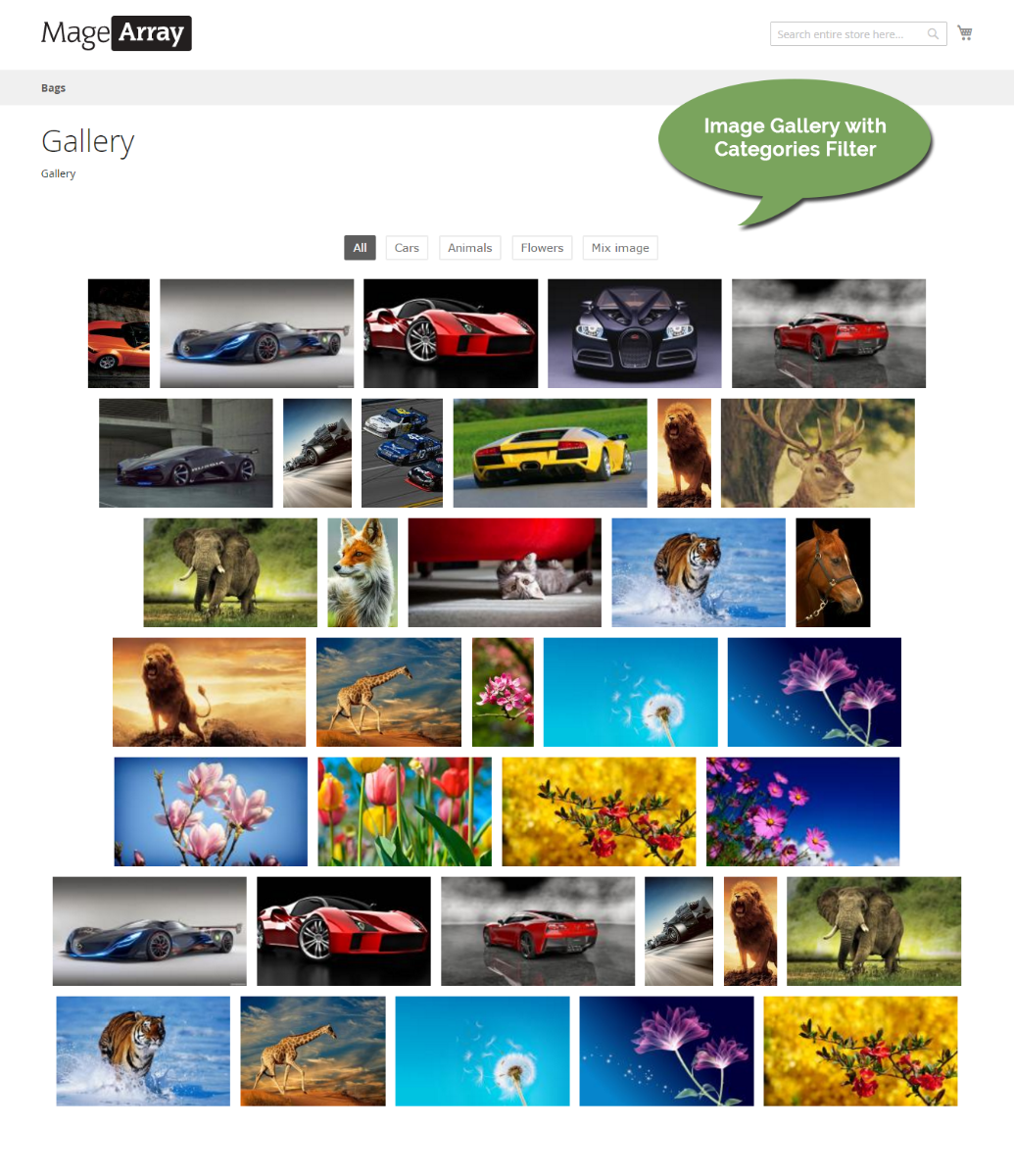 Magento 2 Image Gallery Extension - Photo Gallery Extension for Magento 2