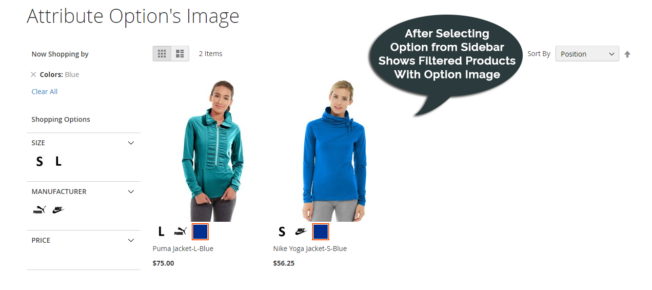 Magento 2 Attribute Option Image Extension