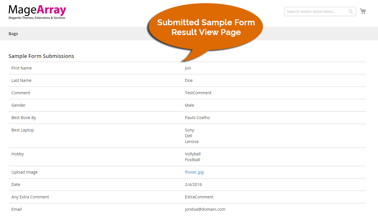 Magento 2 Form Builder Extension - An extension for custom web form
